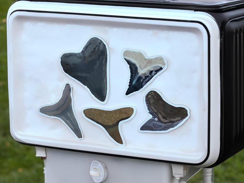 Vinyl Waterproof Shark Tooth Stickers - Etsy