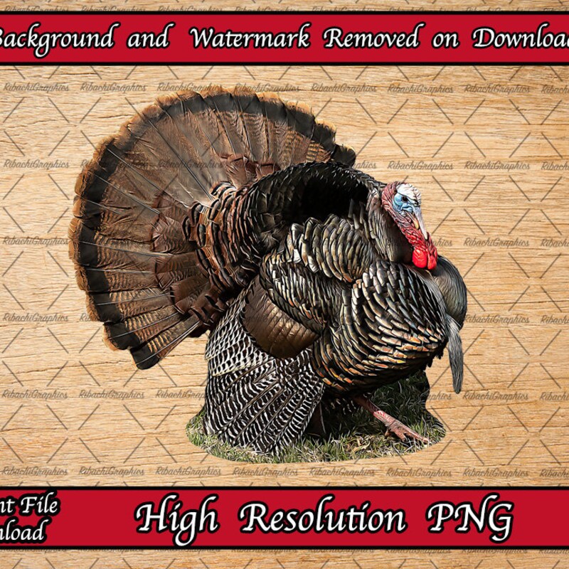 Turkey With Beard Clipart - Etsy