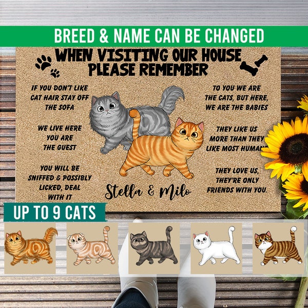 Please Remember When Visiting Cats House Doormat - Etsy