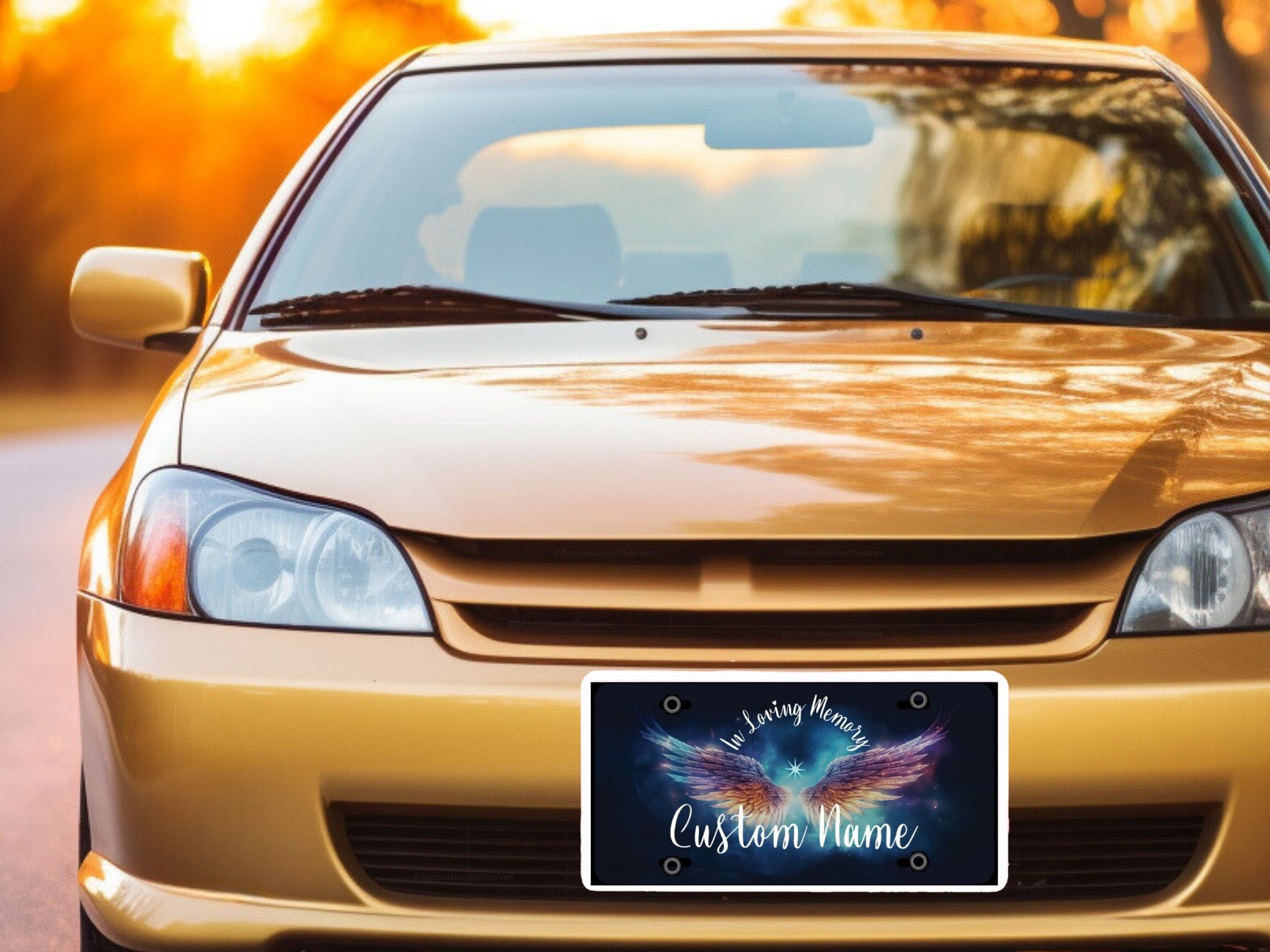 Decorative License Plate Muishi Pretty Angel Wings Decorative License ...