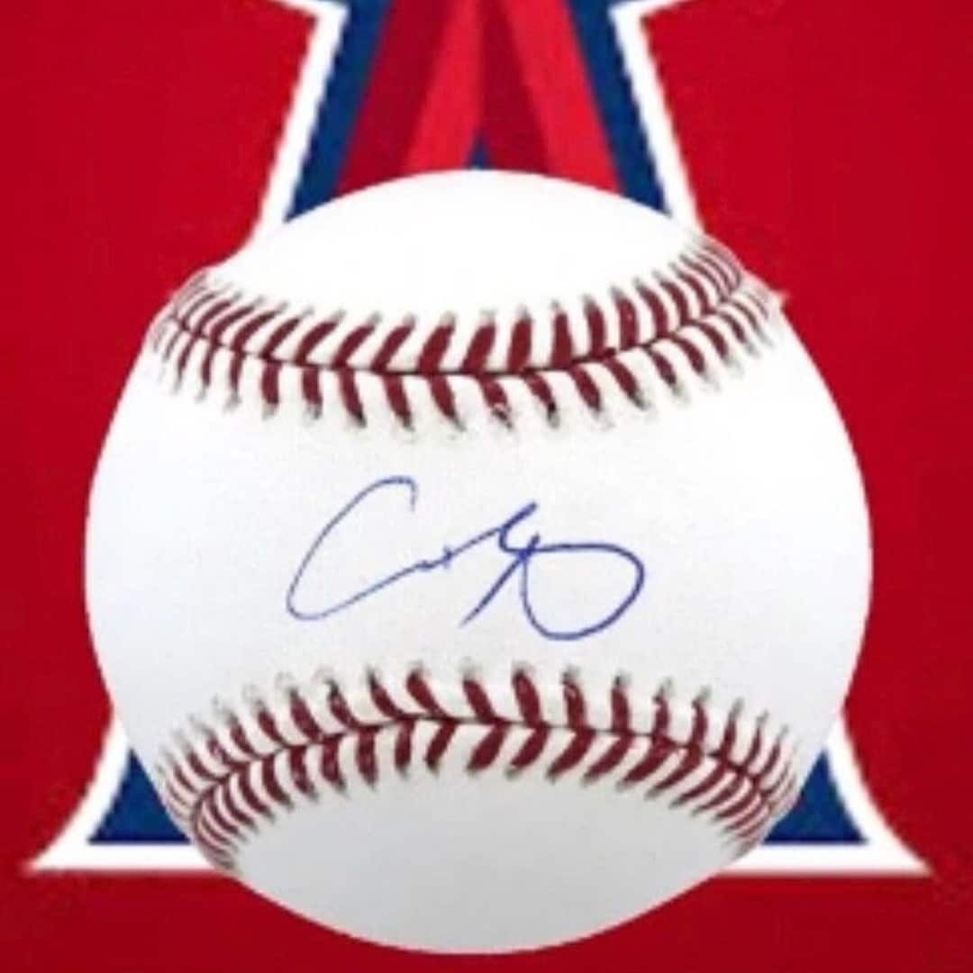 Shohei Ohtani Signed Autographed Baseball Los Angeles Angels W/ COA and ...