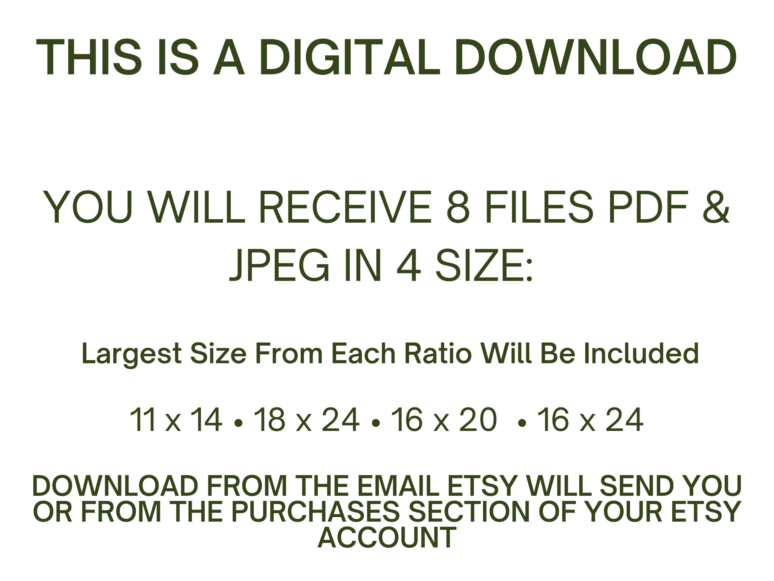 Christian Cat Printable Scripture Wall Art Seek and Find - Etsy