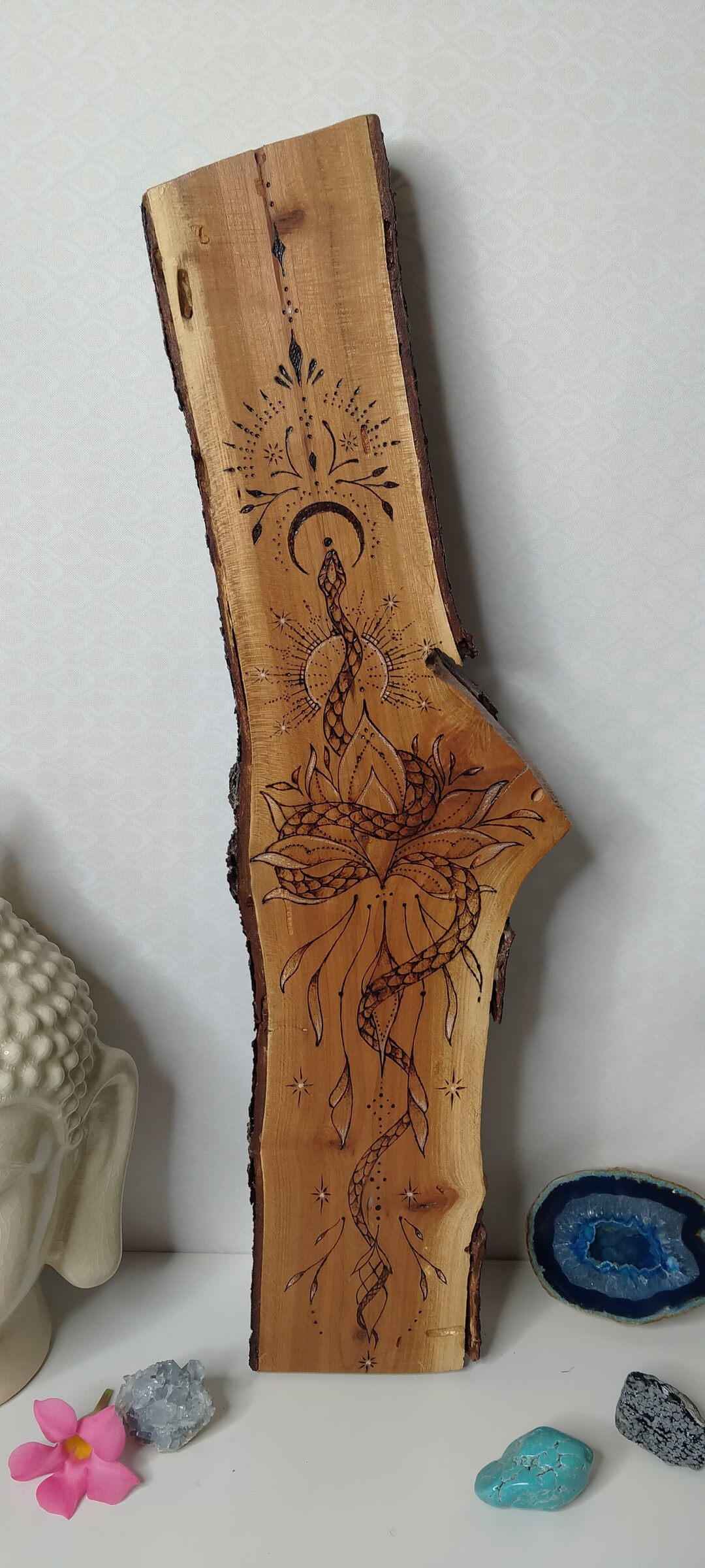 Pyrography on Cycle Tree Trunk. Dimensions 54x15x7cm Snake Lotus ...