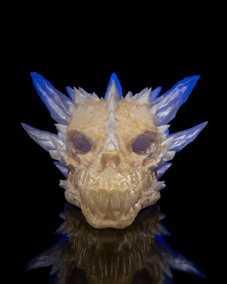 Skull of the Diamond Dragon - Etsy