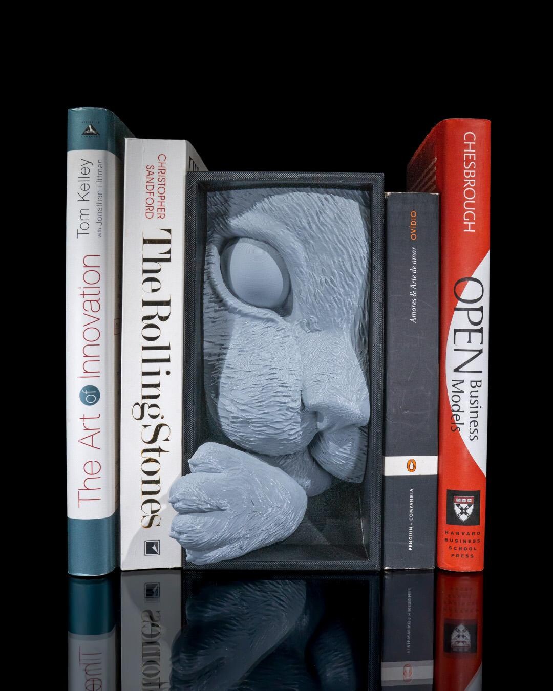 Cat's Curiosity Book Nook - Etsy