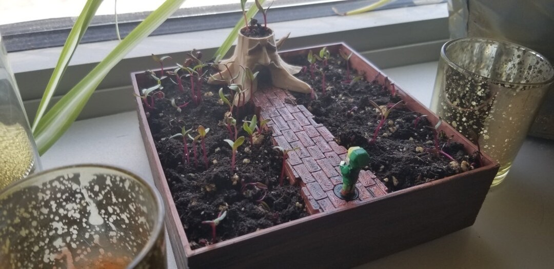 Legend of Zelda Deku Tree Desktop Garden - Etsy