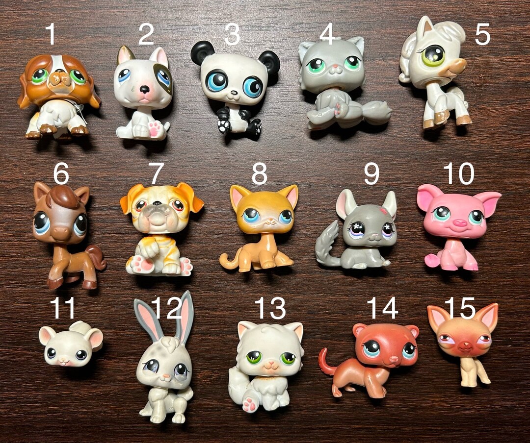 Authentic Littlest Pet Shop LPS Lot in FAIR Condition | Rare LPS Bundle ...