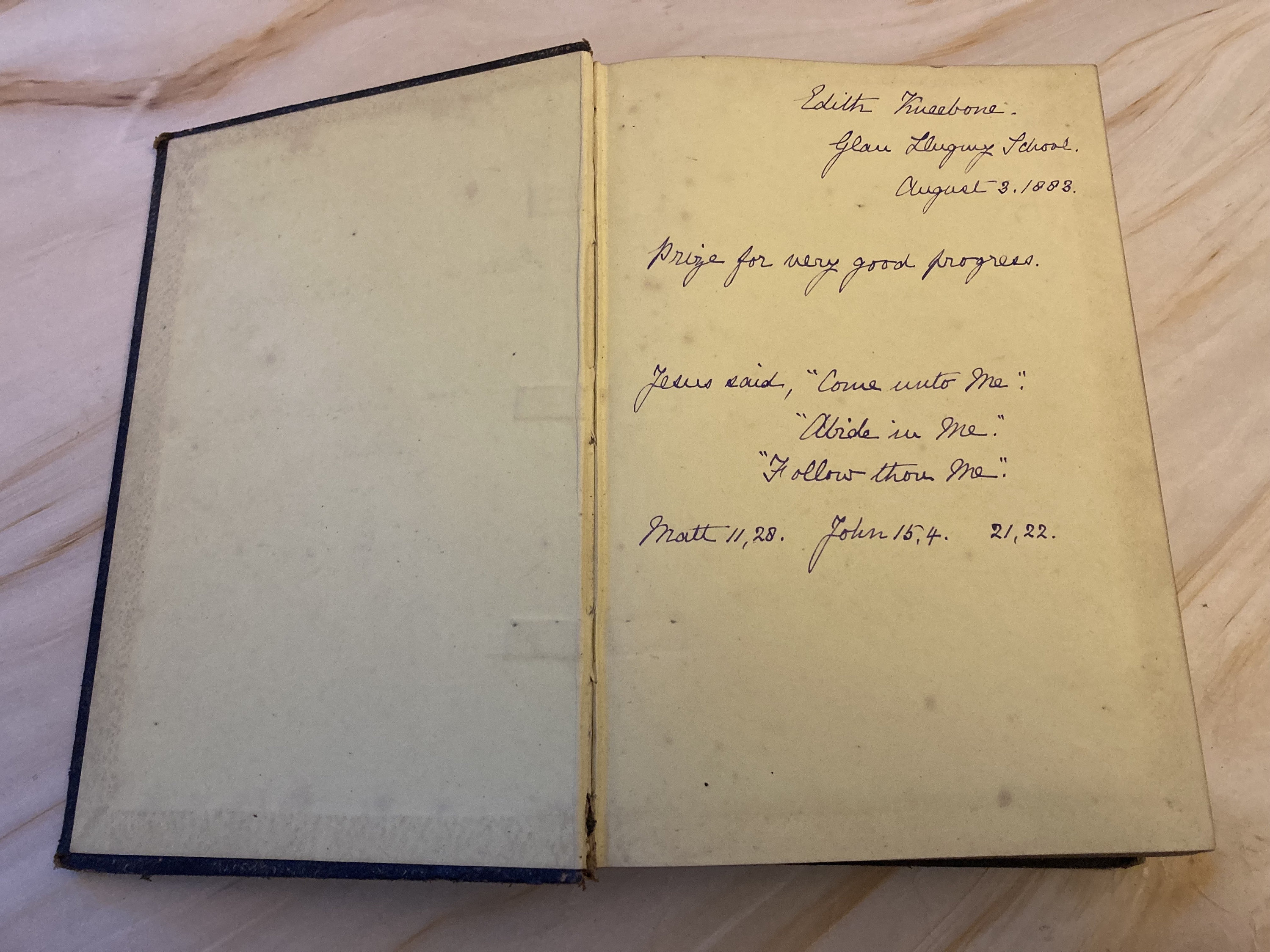 1882 Holy Bible Maps ref X335 - Etsy