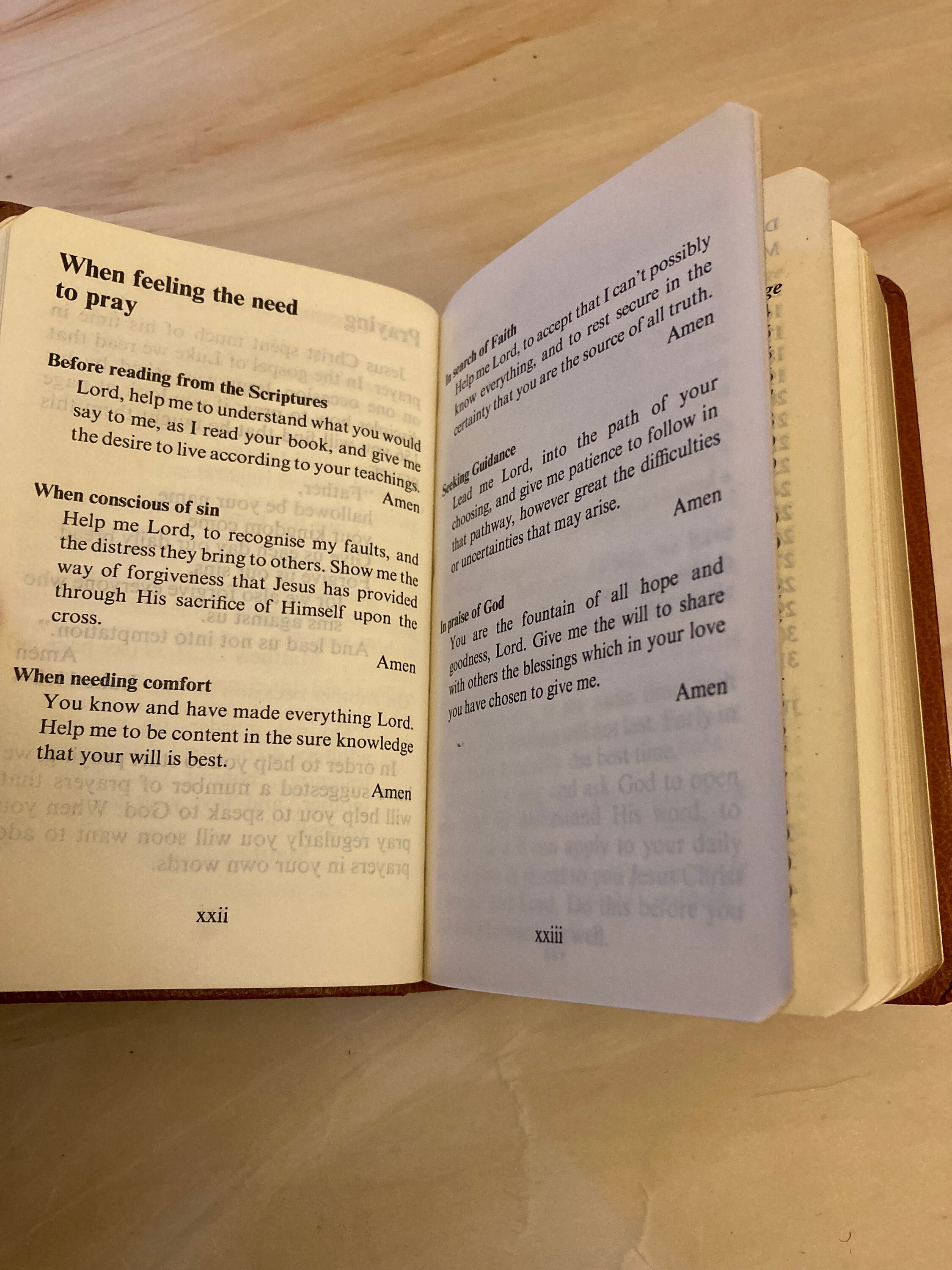 Mini Brown Gideon Bible NIV 1980 - (ref X150) - Etsy