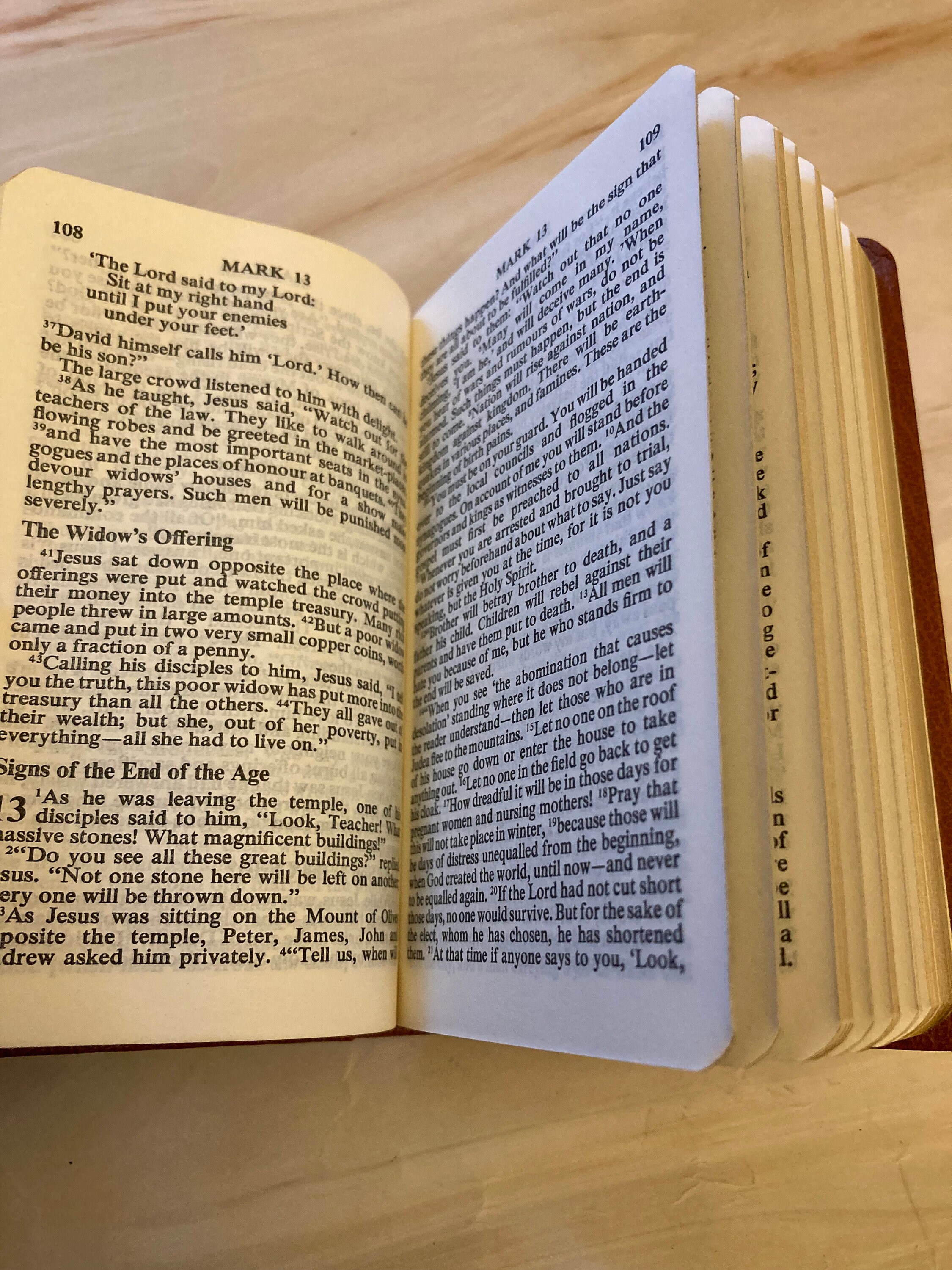 Mini Brown Gideon Bible NIV 1980 - (ref X150) - Etsy