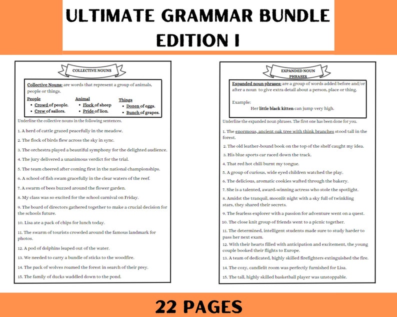 Ultimate Grammar Worksheet Bundle Educational Digital Prints - Etsy