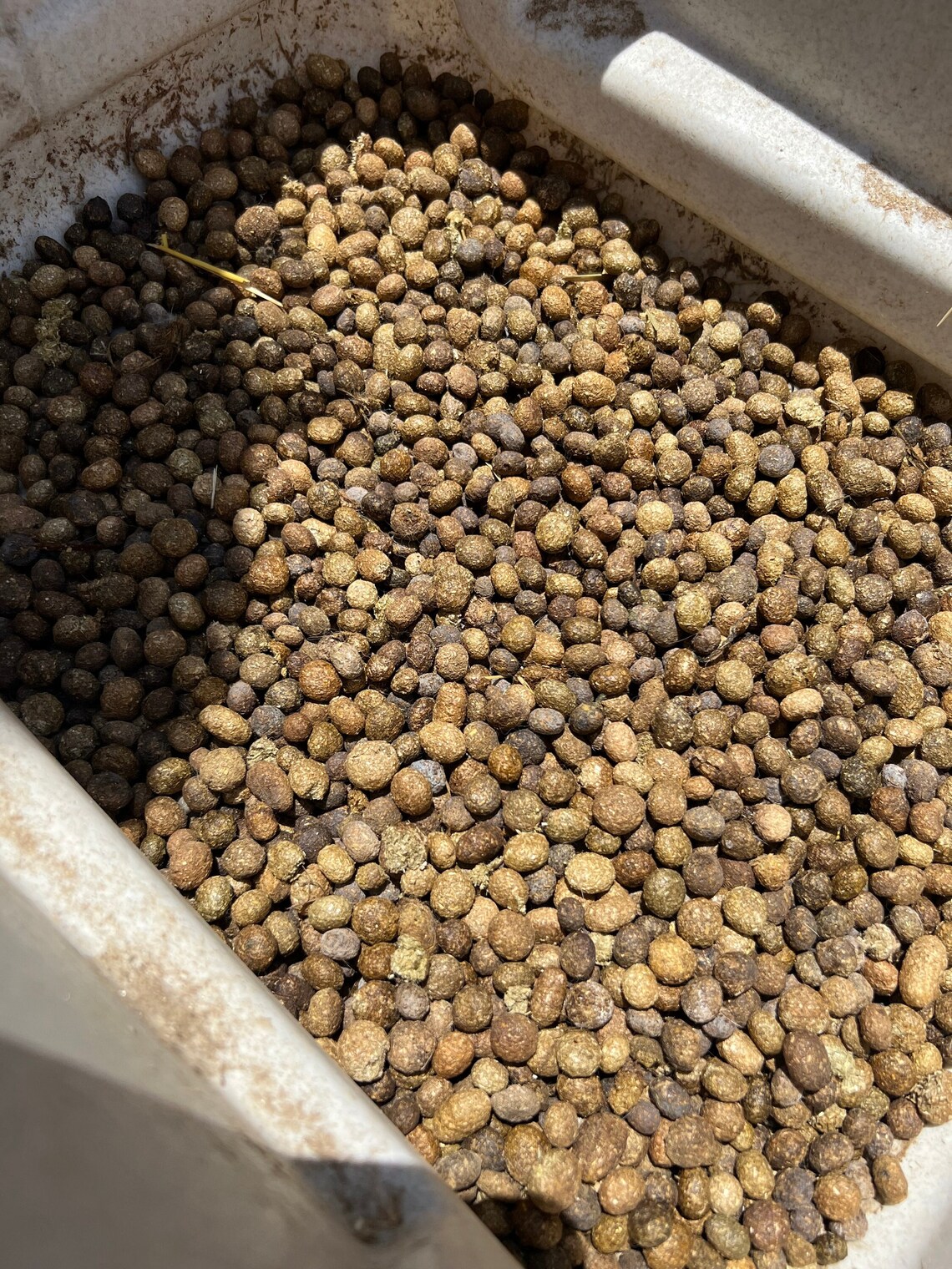 1 Lb Natural Rabbit Poop Fertilizer 100% Organic Rabbit Manure Premium ...