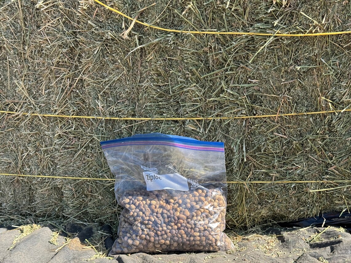 1 Lb Natural Rabbit Poop Fertilizer 100% Organic Rabbit Manure Premium ...