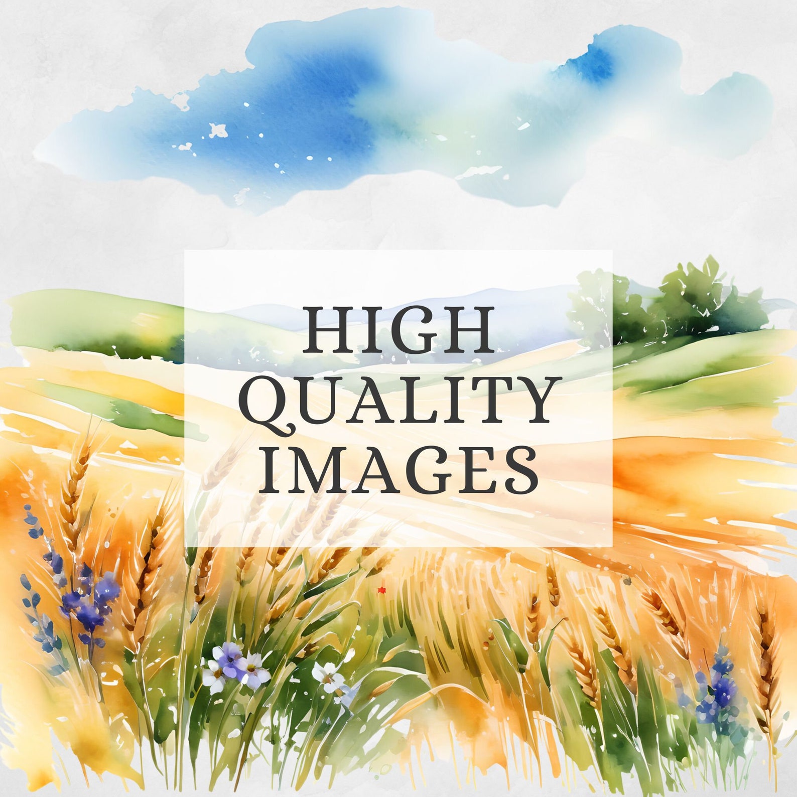 Wheat Field Clipart, Watercolour, Clip Art Elements, Watercolour Art ...