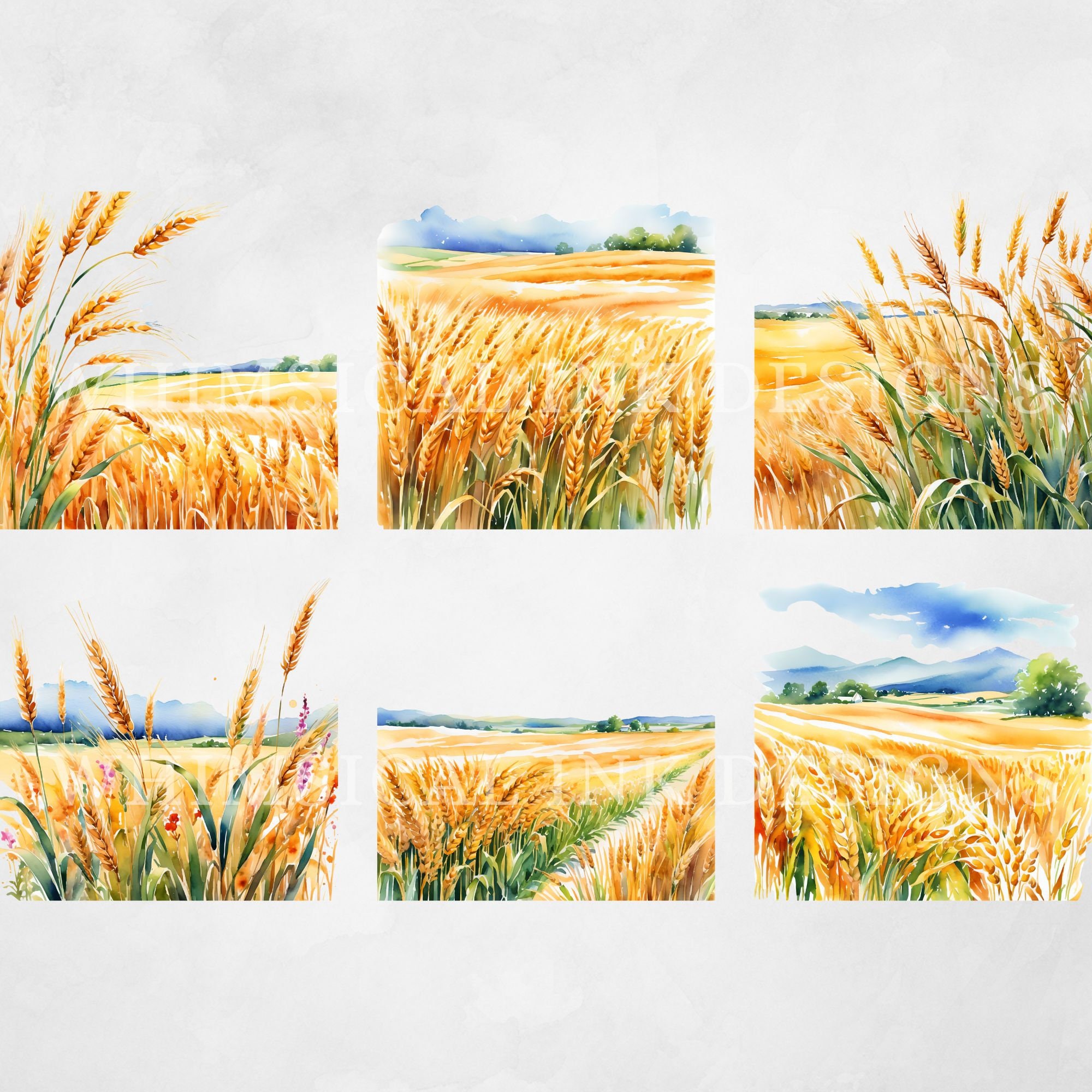 Wheat Field Clipart, Watercolour, Clip Art Elements, Watercolour Art ...