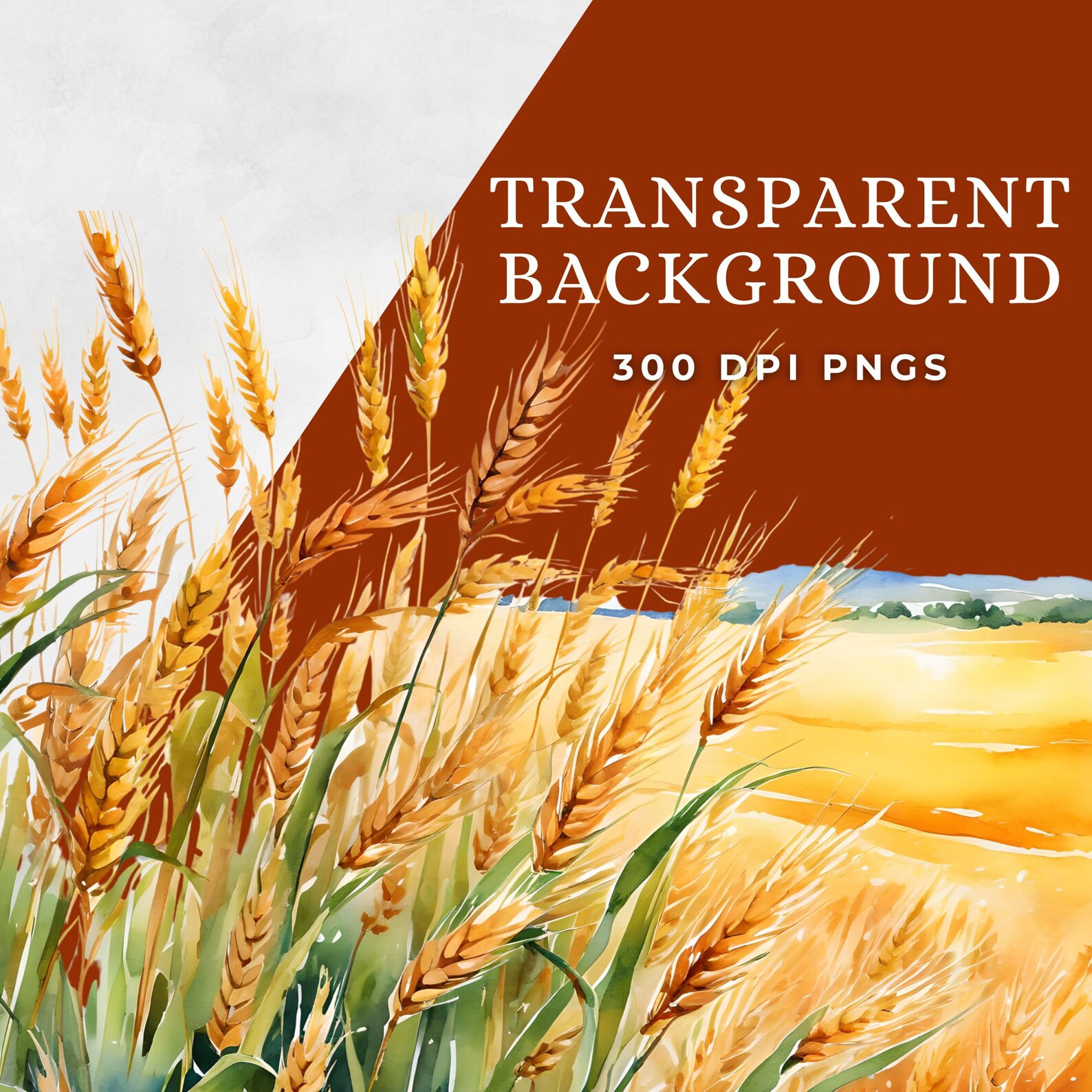 Wheat Field Clipart, Watercolour, Clip Art Elements, Watercolour Art ...