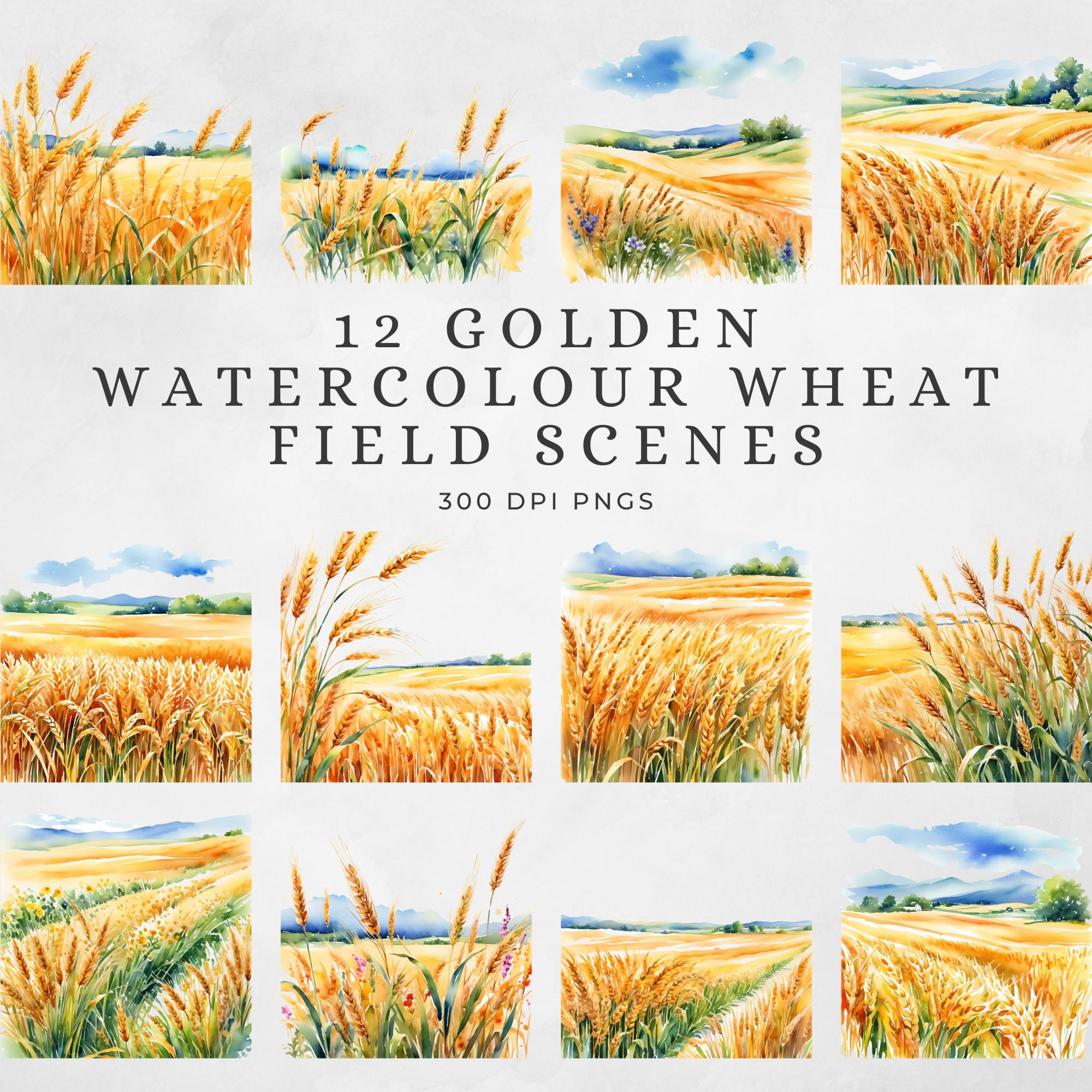 Wheat Field Clipart, Watercolour, Clip Art Elements, Watercolour Art ...