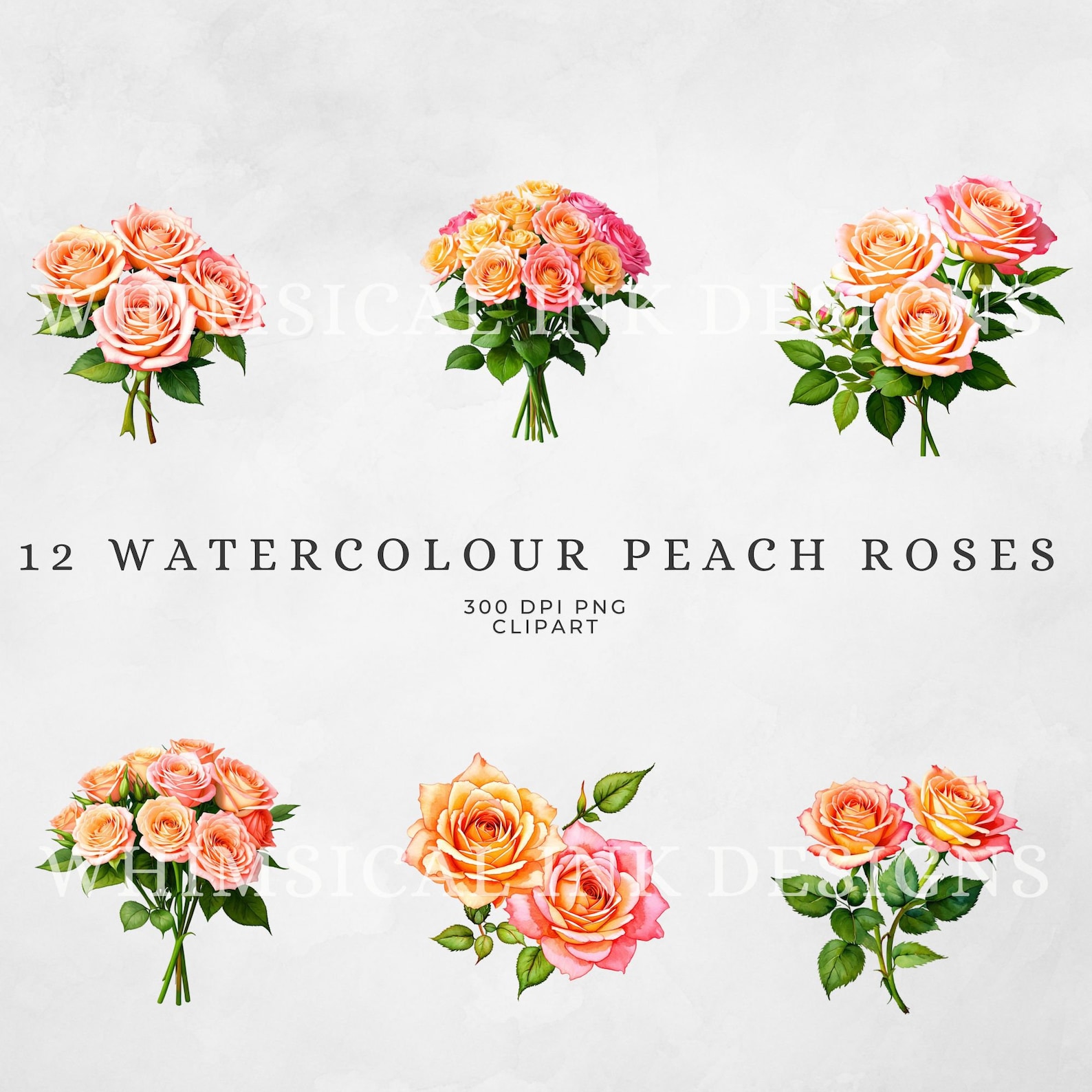 Watercolour Peach Rose Clipart, Peach Flower Clipart, Peach Rose Floral ...