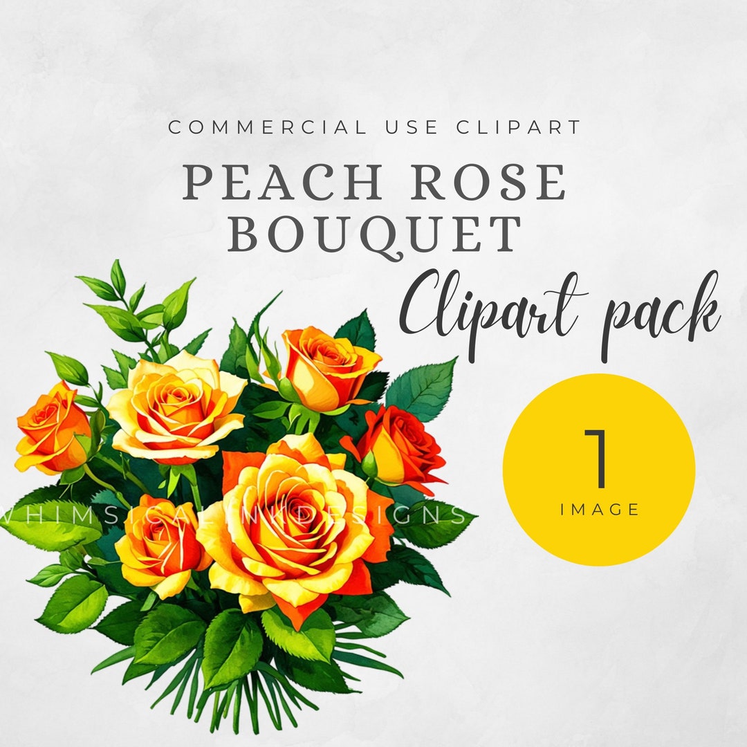 Watercolour Peach Rose Clipart, Peach Flower Clipart, Peach Rose ...
