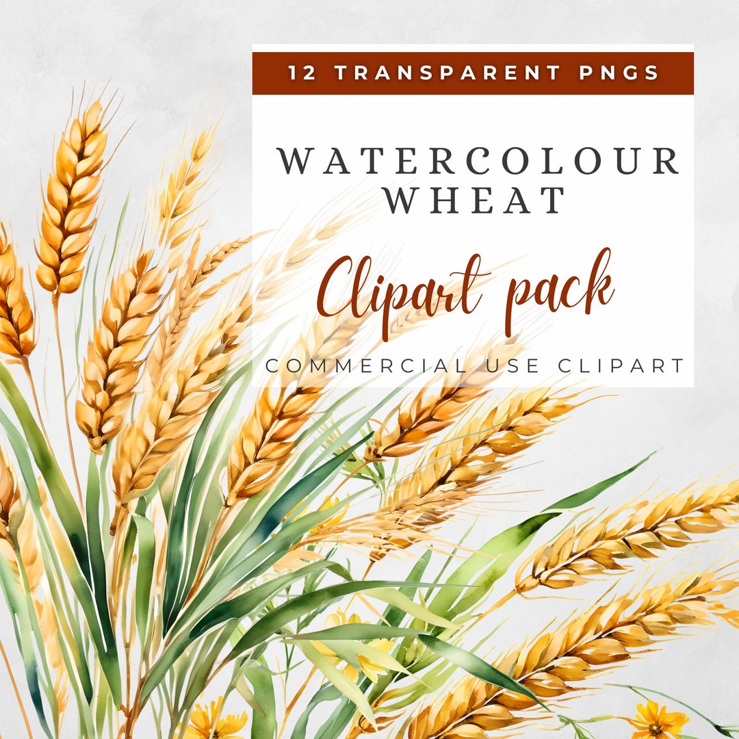 Wheat Clipart, Watercolour, Clip Art Elements, Watercolour Art, Wheat ...