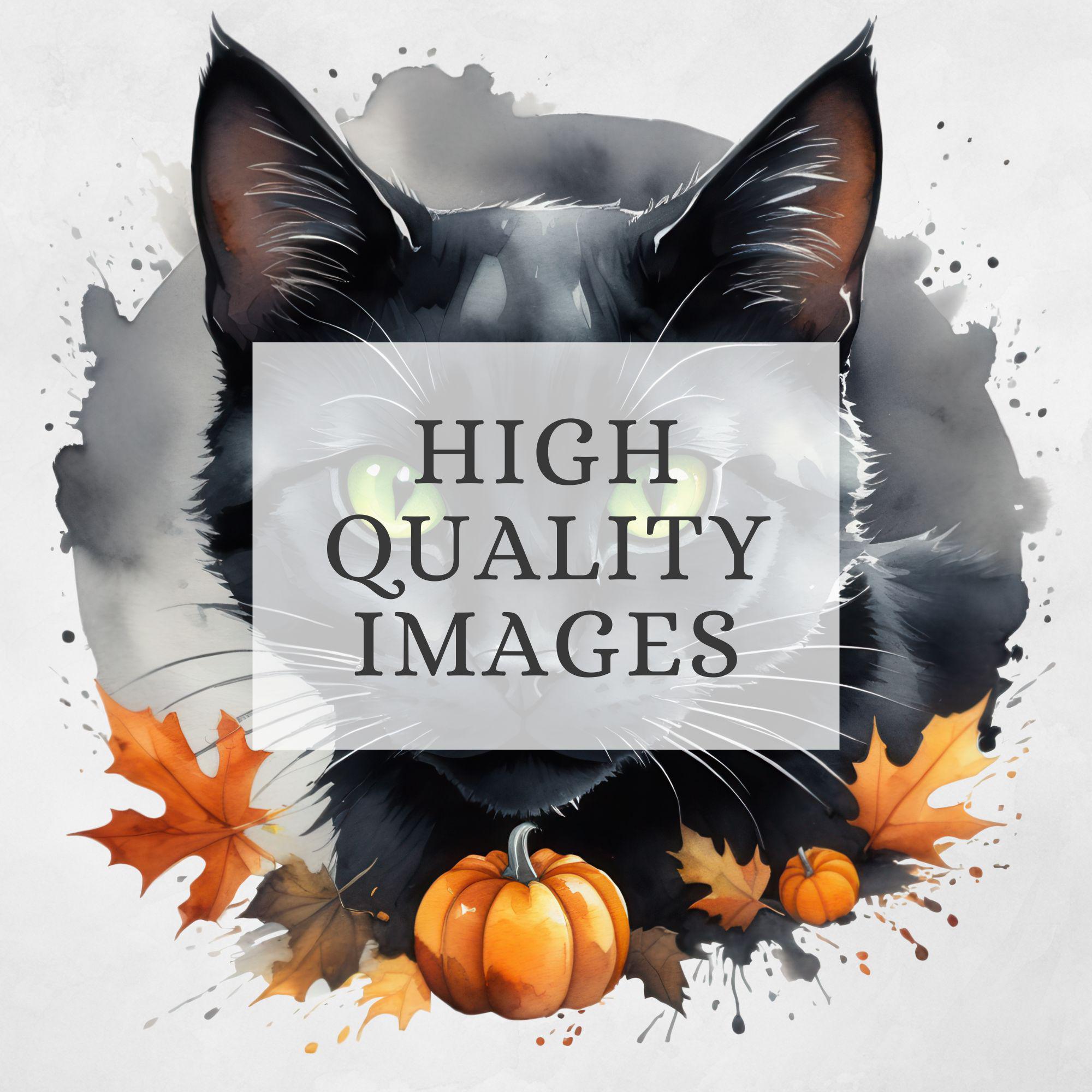 Watercolor Black Cats Clipart, Black Cat Clipart, Celestial Black Cat ...