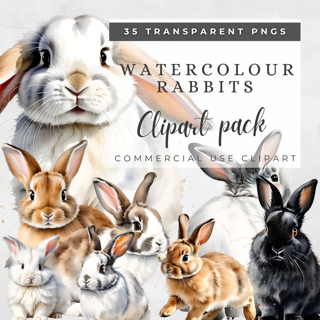 Watercolour Rabbit Clipart, Rabbit PNG, Watercolour Art, Bunny Clipart ...