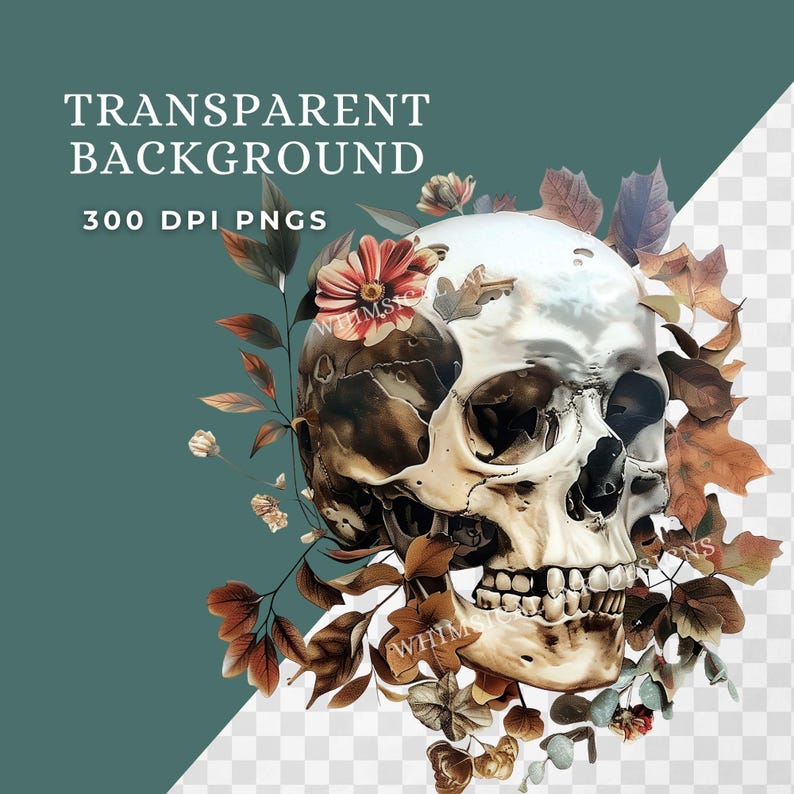 Floral Skull Clipart, Skull Png, Gothic Skull Clipart, Floral Skull ...