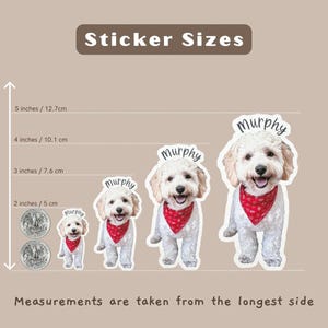 Dancing Through the Lightning Strikes Sticker/car Magnet, My Energy is ...