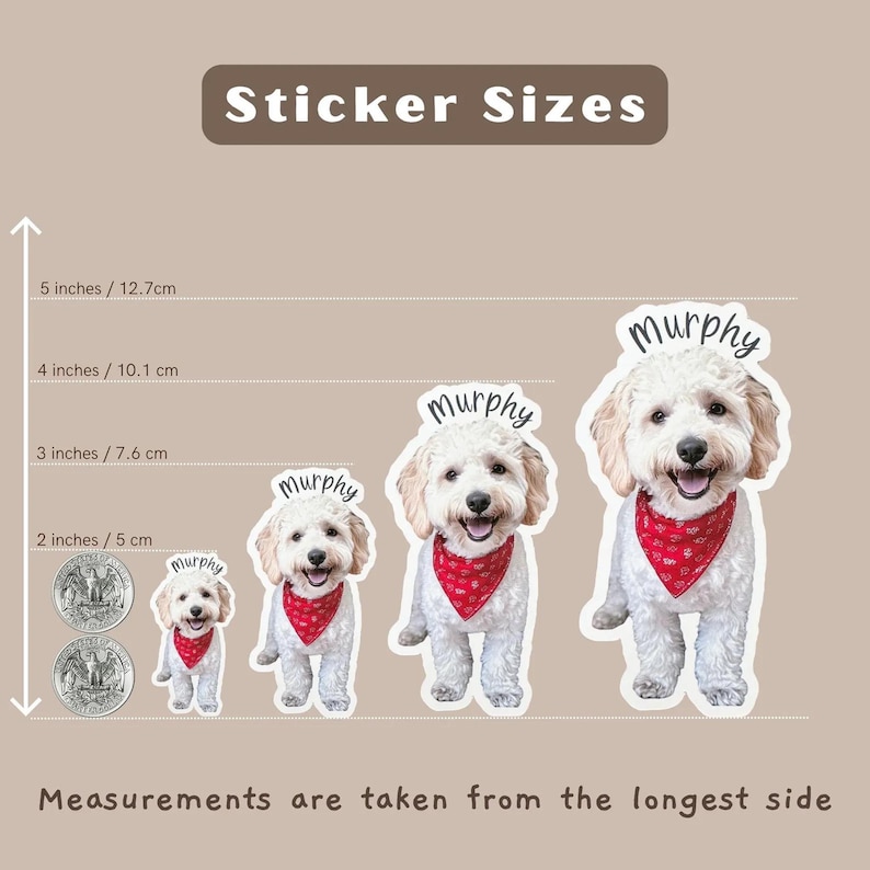 Freedom Charlie Kirk Car Magnet, A True Patriot Sticker/car Magnet ...