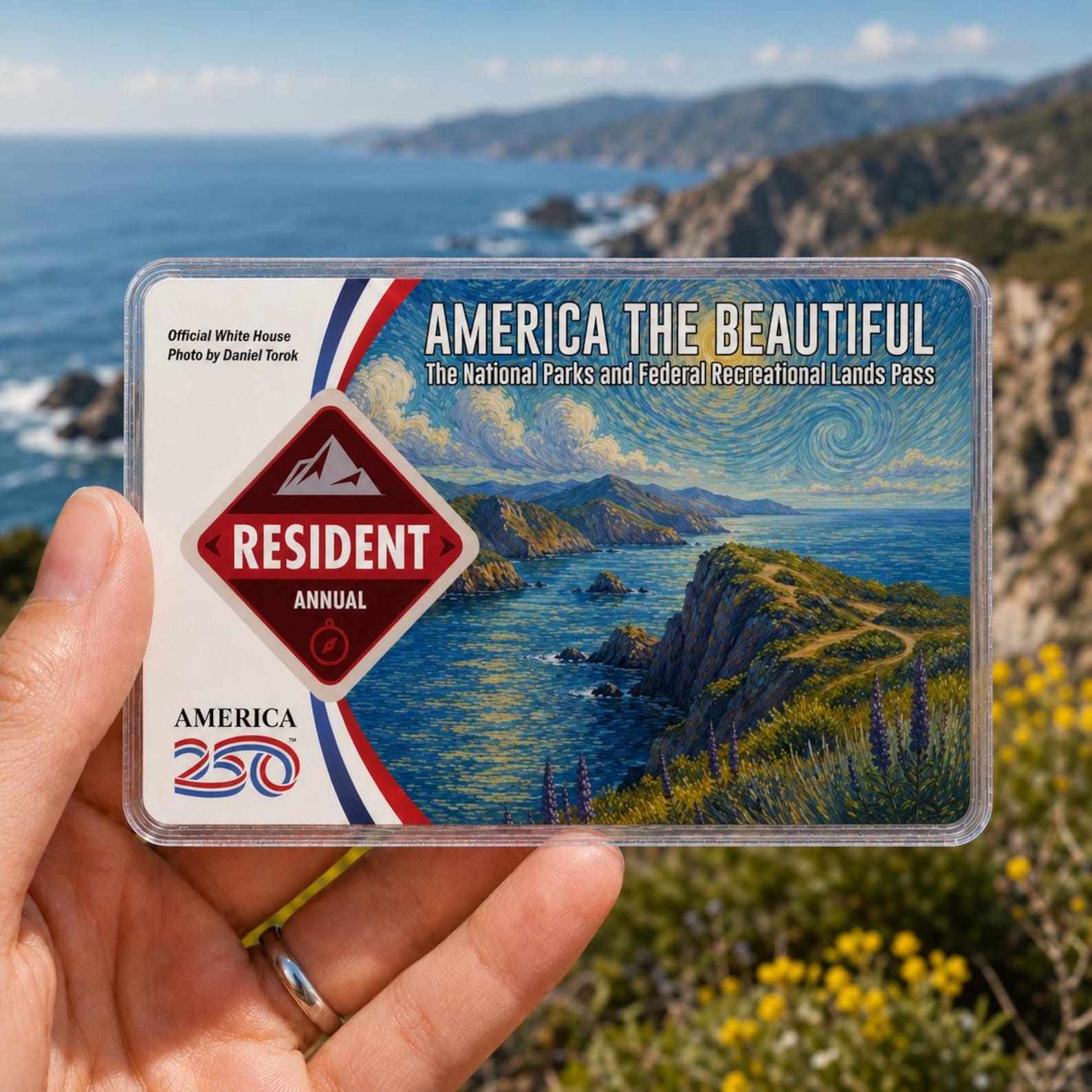 Starry Night Coastal Card Sleeve, America the Beautiful Resident Pass ...