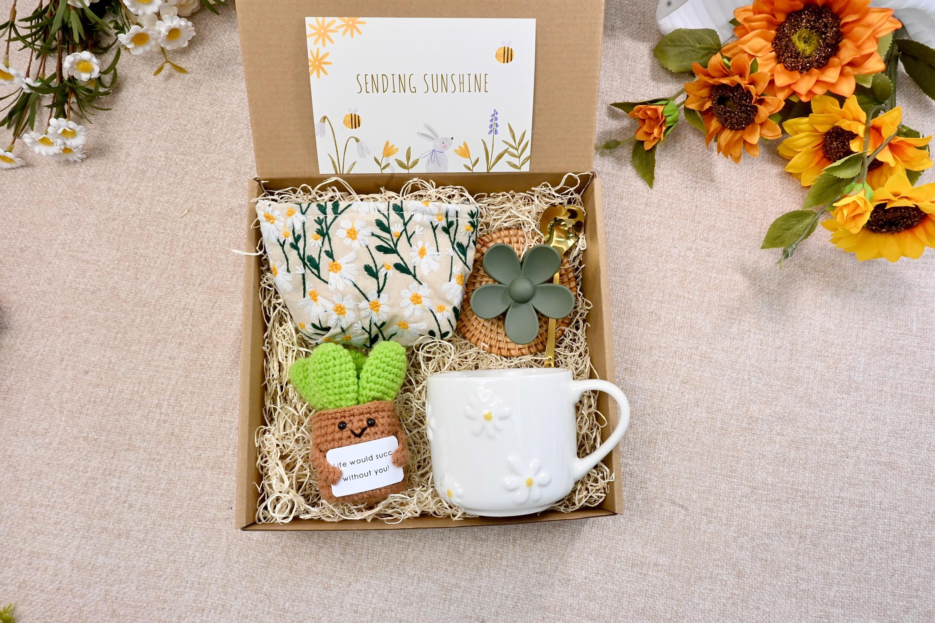 Emotional Support Plant Gift Box，sending Sunshine Gift ,warm and Cozy ...