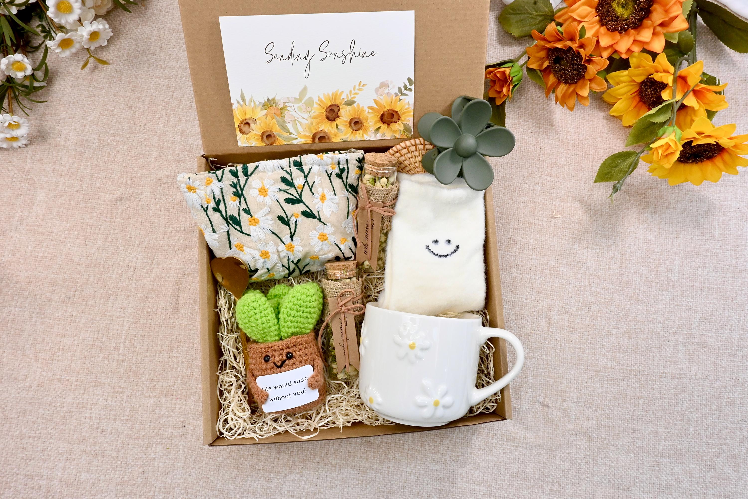 Emotional Support Plant Gift Box，sending Sunshine Gift ,warm and Cozy ...