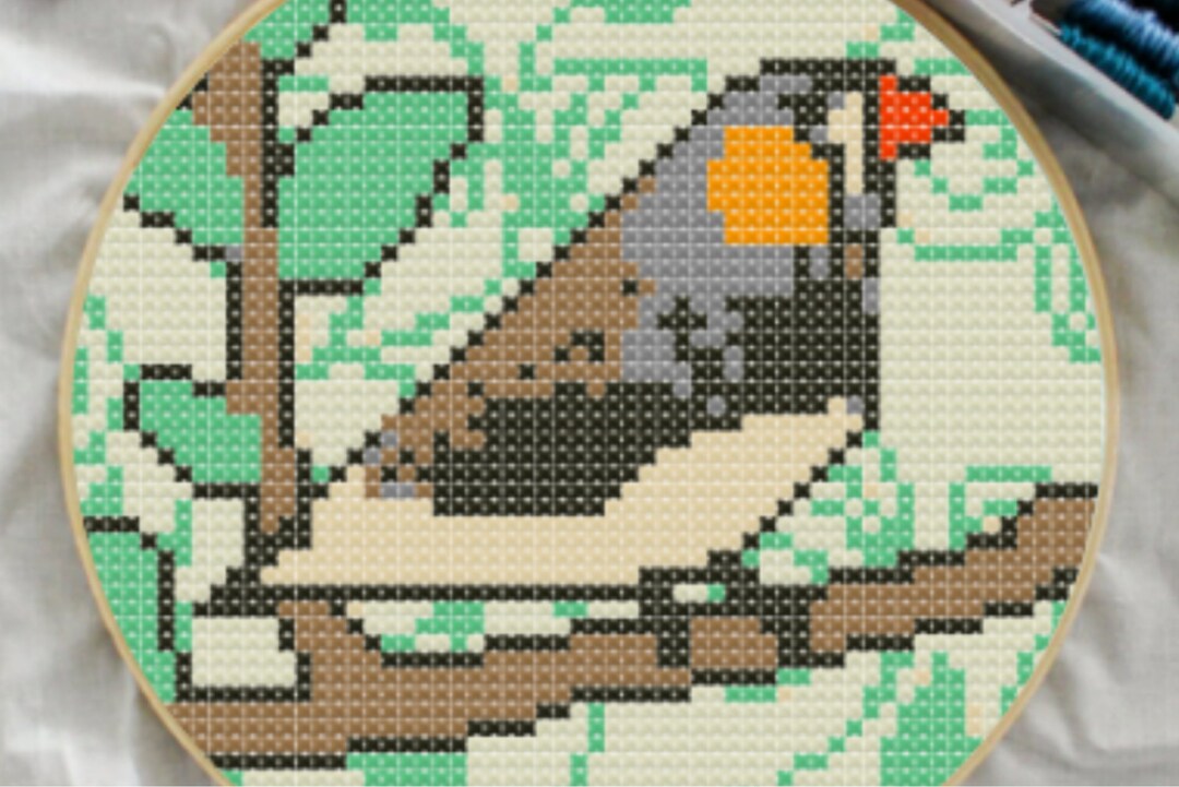 Zebra Finch Cross Stitch Embroidery Pattern PNG Digital - Etsy