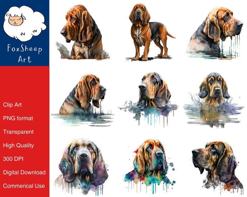 9 Bloodhound Dog Clipart High-quality PNG Image, Print, Paper, Art ...
