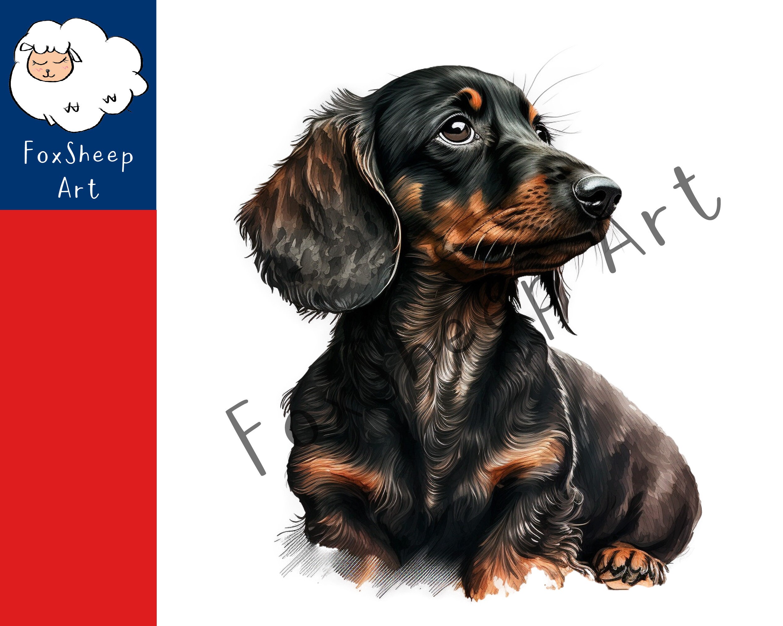 9 Dachshund Dog Clipart High-quality PNG Image, Print, Paper, Art ...