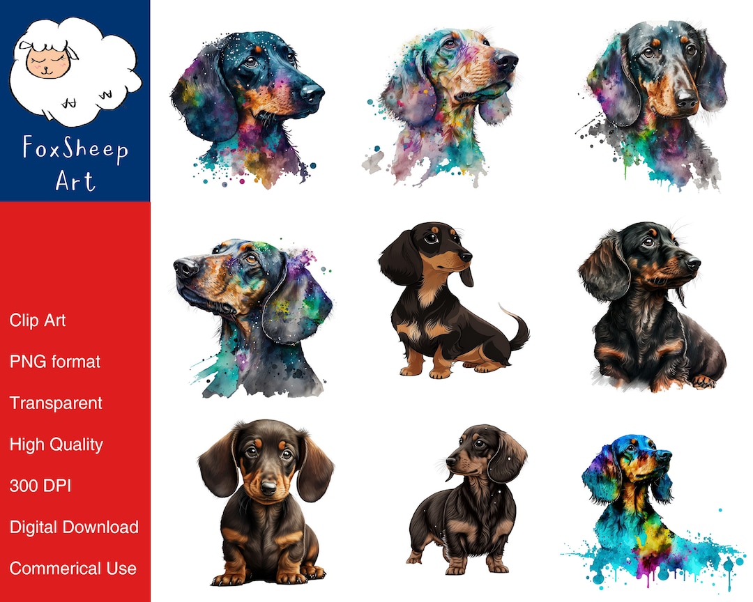 9 Dachshund Dog Clipart High-quality PNG Image, Print, Paper, Art ...