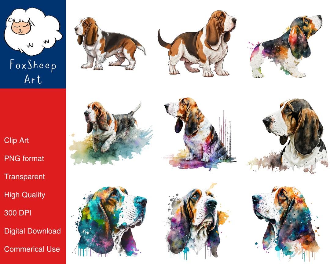 9 Basset Hound Dog Clipart High-quality PNG Image, Print, Paper, Art ...