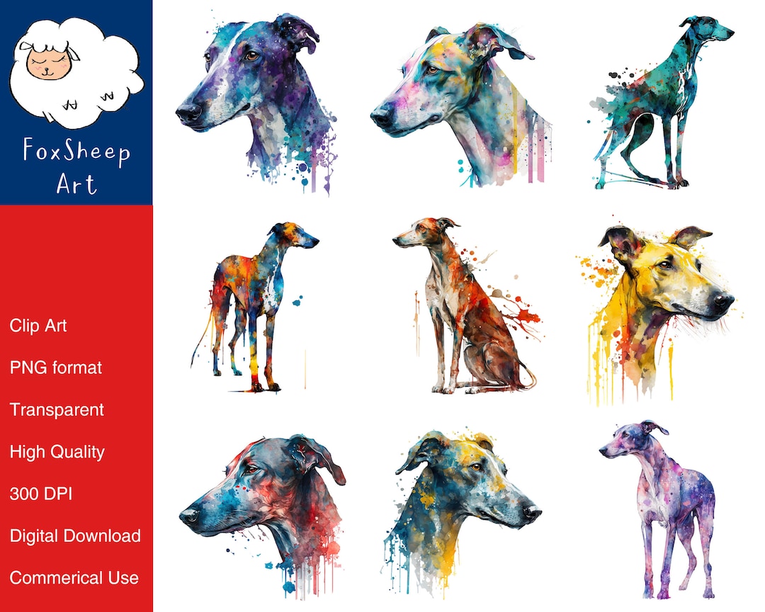 9 Greyhound Dog Clipart High-quality PNG Image, Print, Paper, Art ...