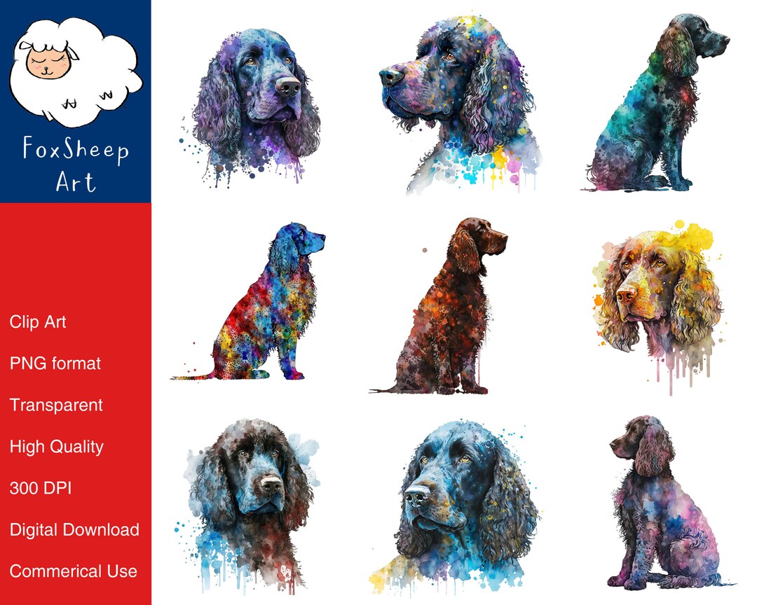 9 Irish Water Spaniel Dog Clipart High-quality PNG Image, Print, Paper ...