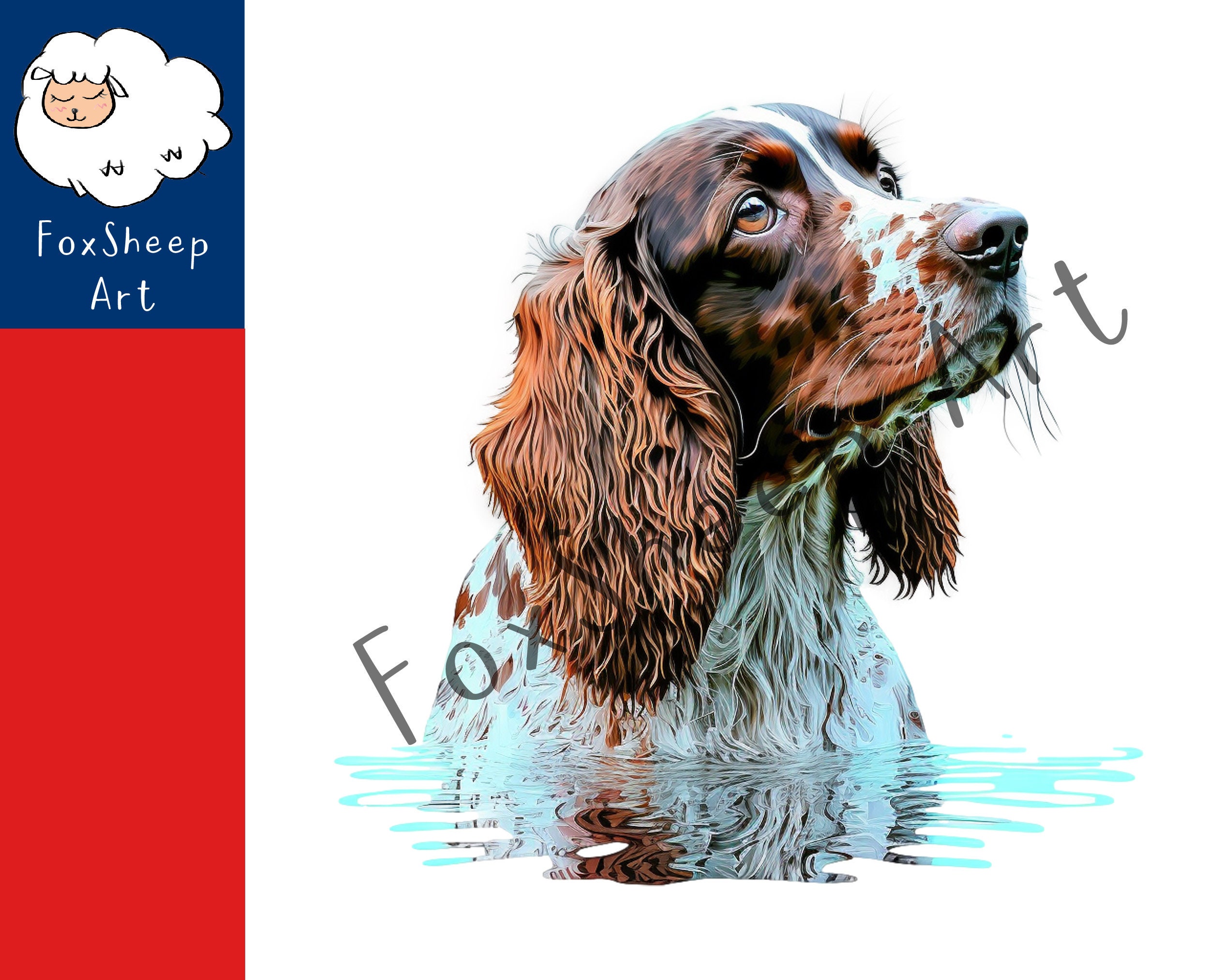 9 English Cocker Spaniel Dog Clipart High-quality PNG Image - Etsy