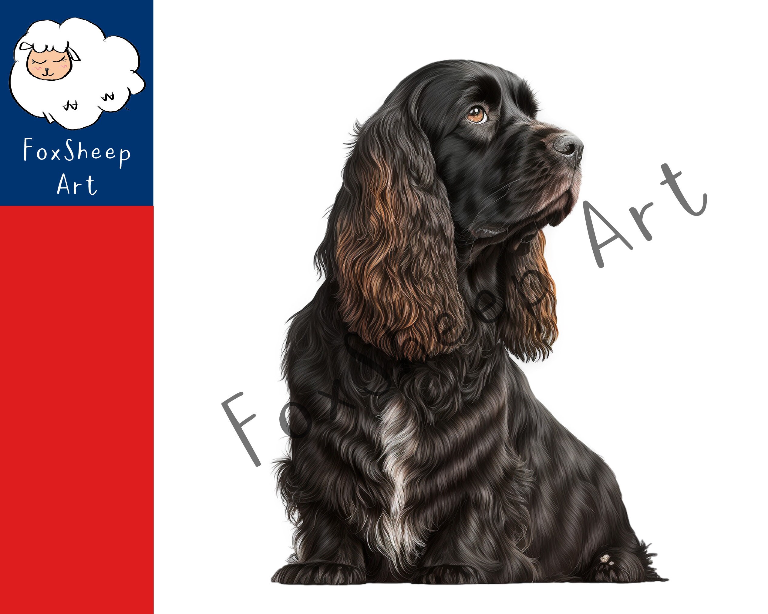 9 English Cocker Spaniel Dog Clipart High-quality PNG Image, Print ...