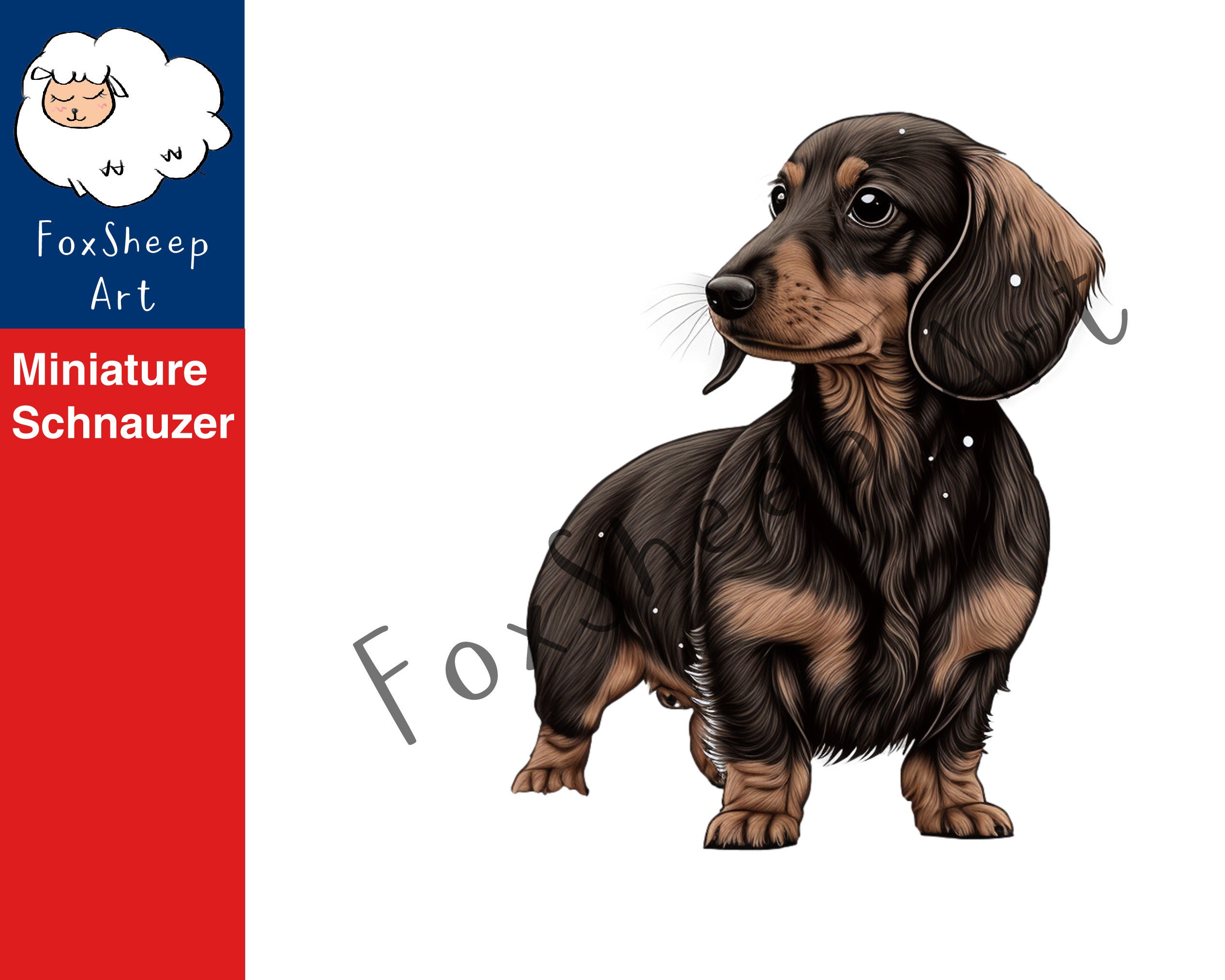 9 Dachshund Dog Clipart High-quality PNG Image, Print, Paper, Art ...