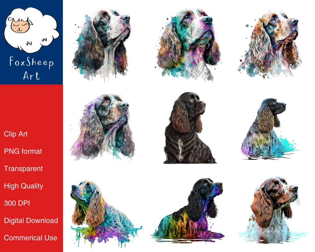 9 English Cocker Spaniel Dog Clipart High-quality PNG Image, Print ...