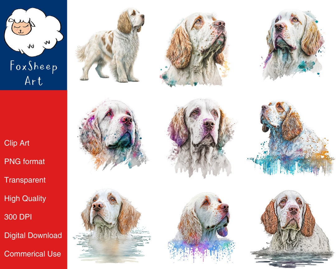 9 Clumber Spaniel Dog Clipart High-quality PNG Image, Print, Paper, Art ...