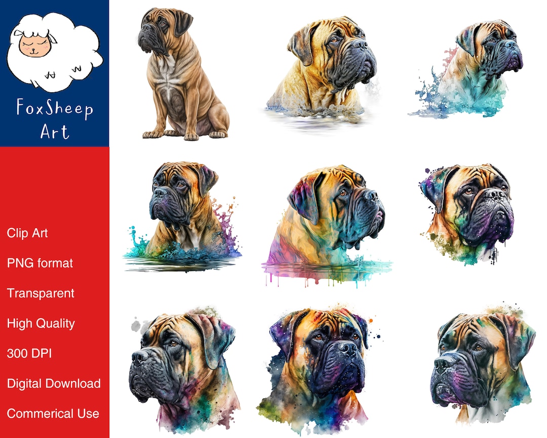 9 Bullmastiff Dog Clipart High-quality PNG Image, Print, Paper, Art ...