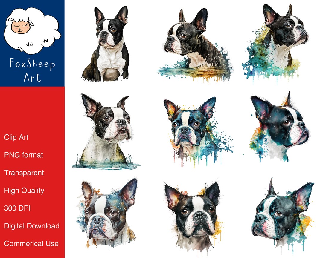 9 Boston Terrier Dog Clipart High-quality PNG Image, Print, Paper, Art ...