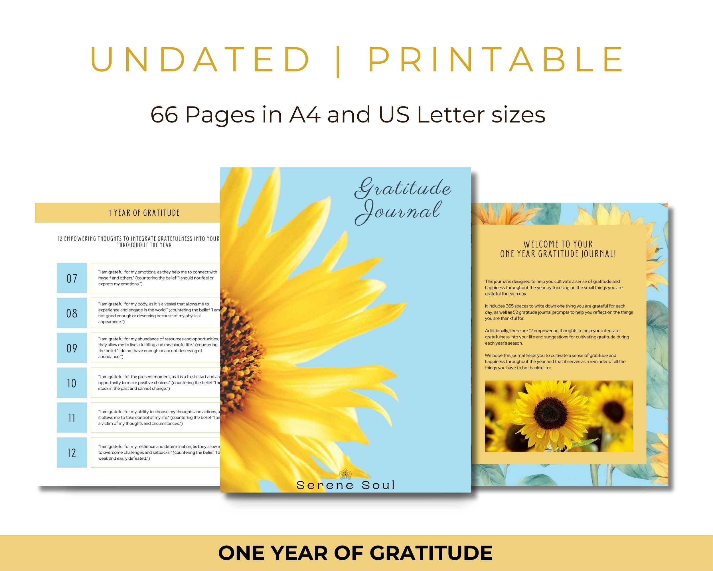 Gratitude Journal Prompts 365 Day Undated Daily Gratitude Journal ...