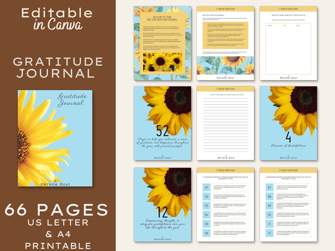 Gratitude Journal Prompts 365 Day Undated Daily Gratitude Journal ...