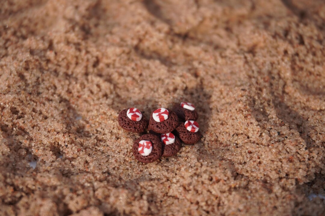 Peppermint Model Horse Treats Multi-packs - Etsy