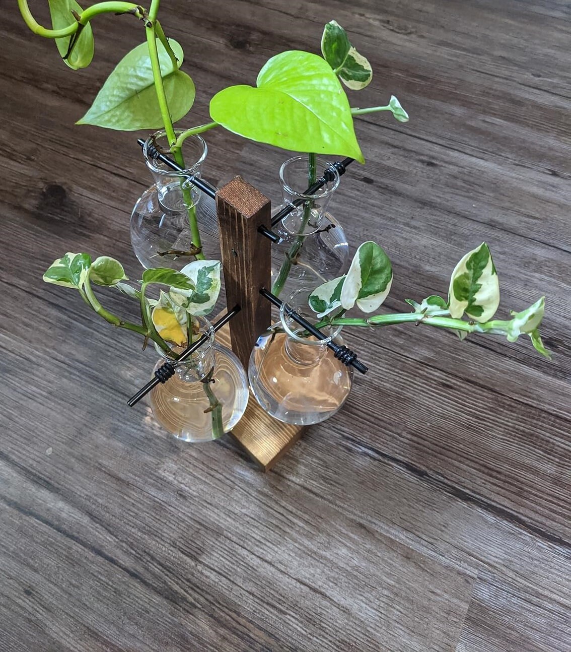 4 Bulb Beaker Glass Vase Plant Terrariums Kit Solid Wood Stand - Etsy